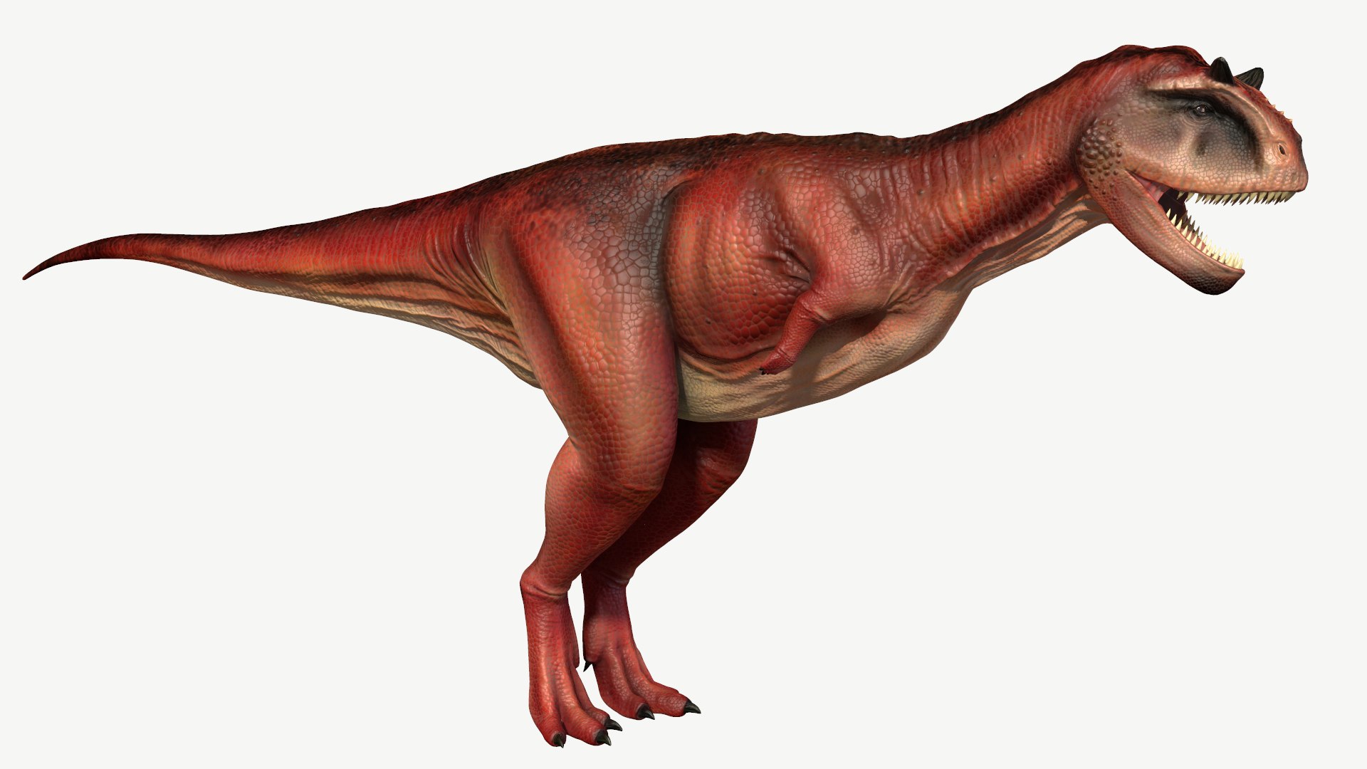 3d carnotaurus t-rex
