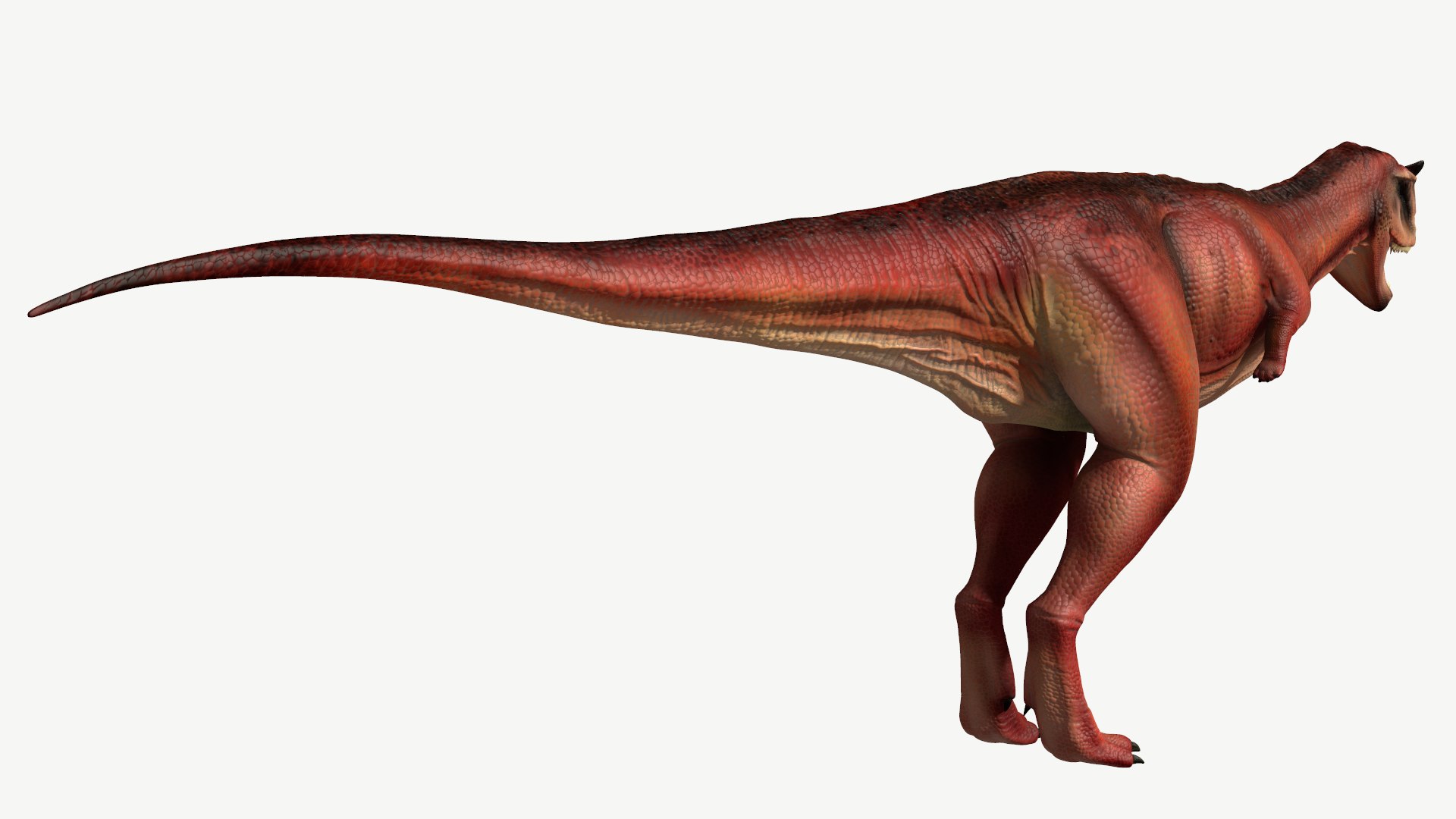 3d carnotaurus t-rex