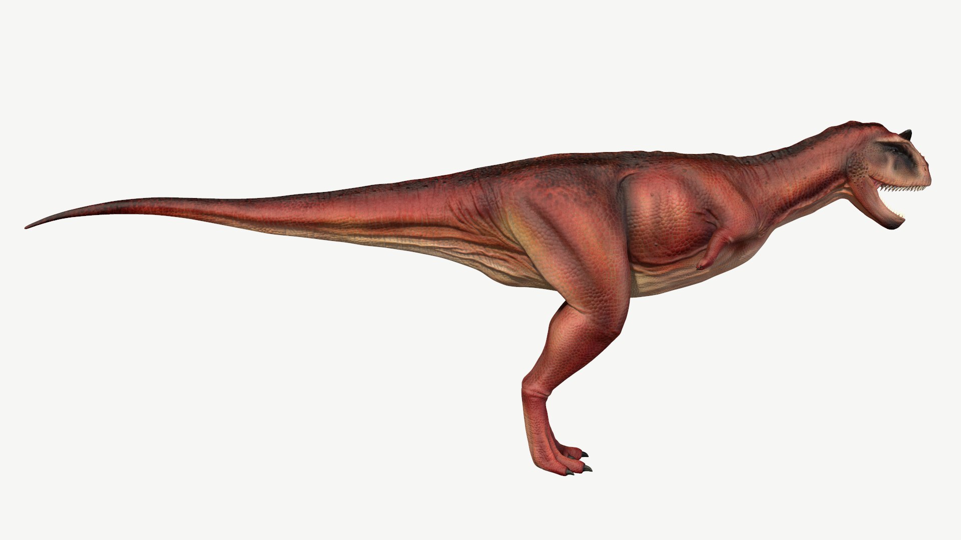 3d Carnotaurus T-rex