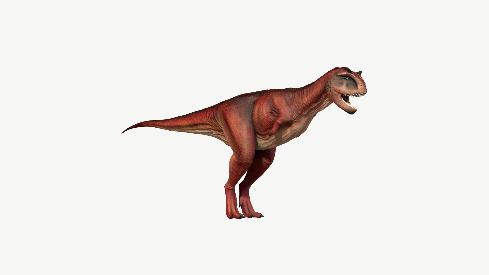 3d Carnotaurus T-rex