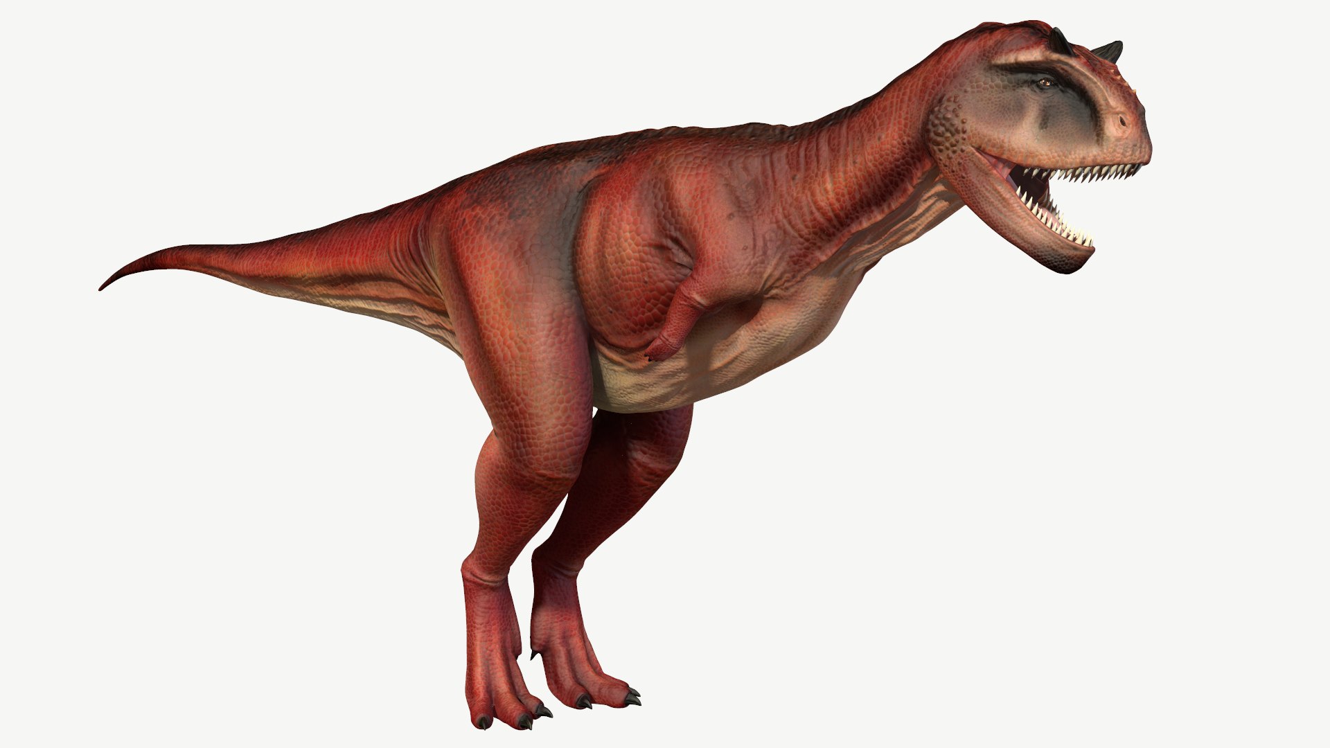 3d Carnotaurus T-rex