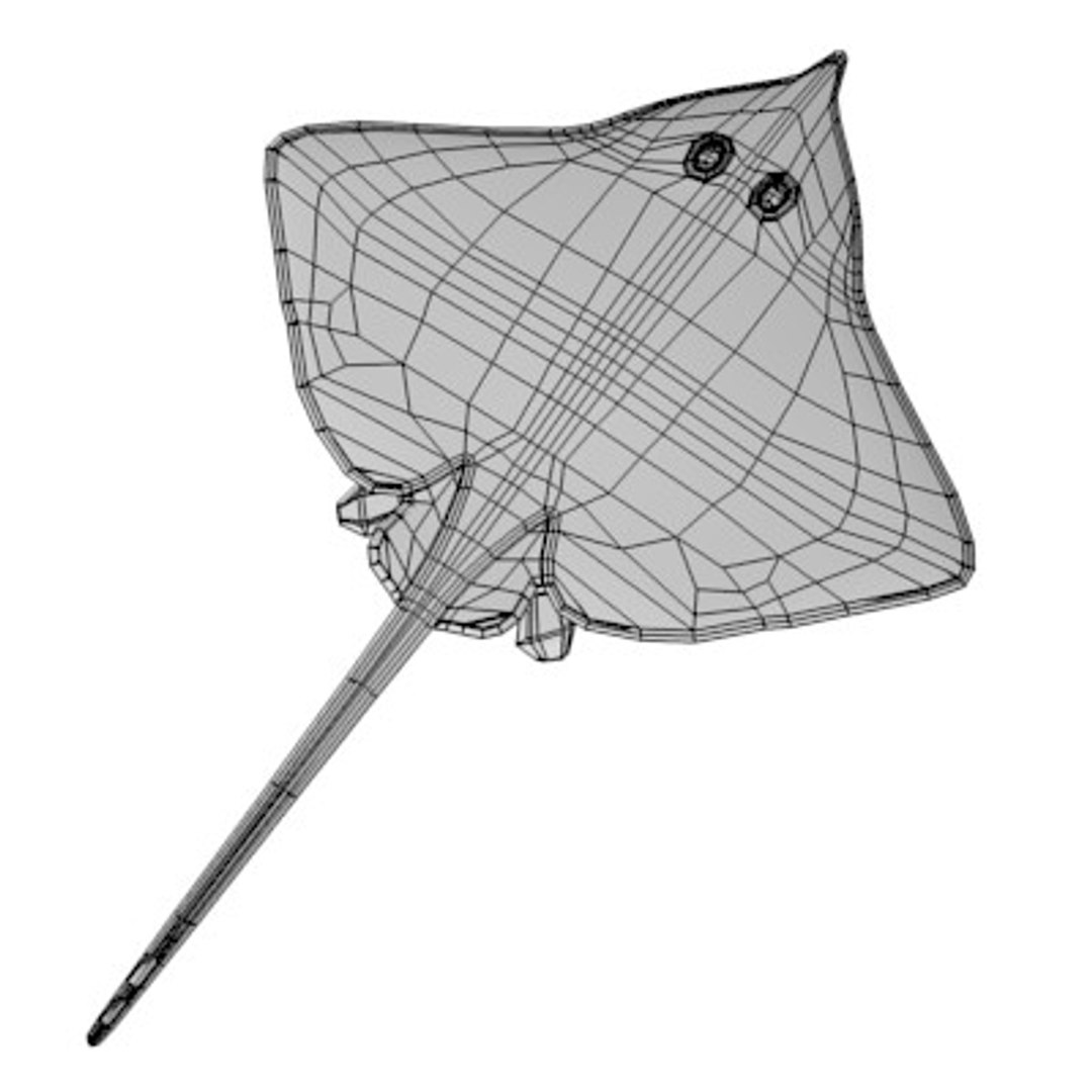 Stingray Sting 3d Model