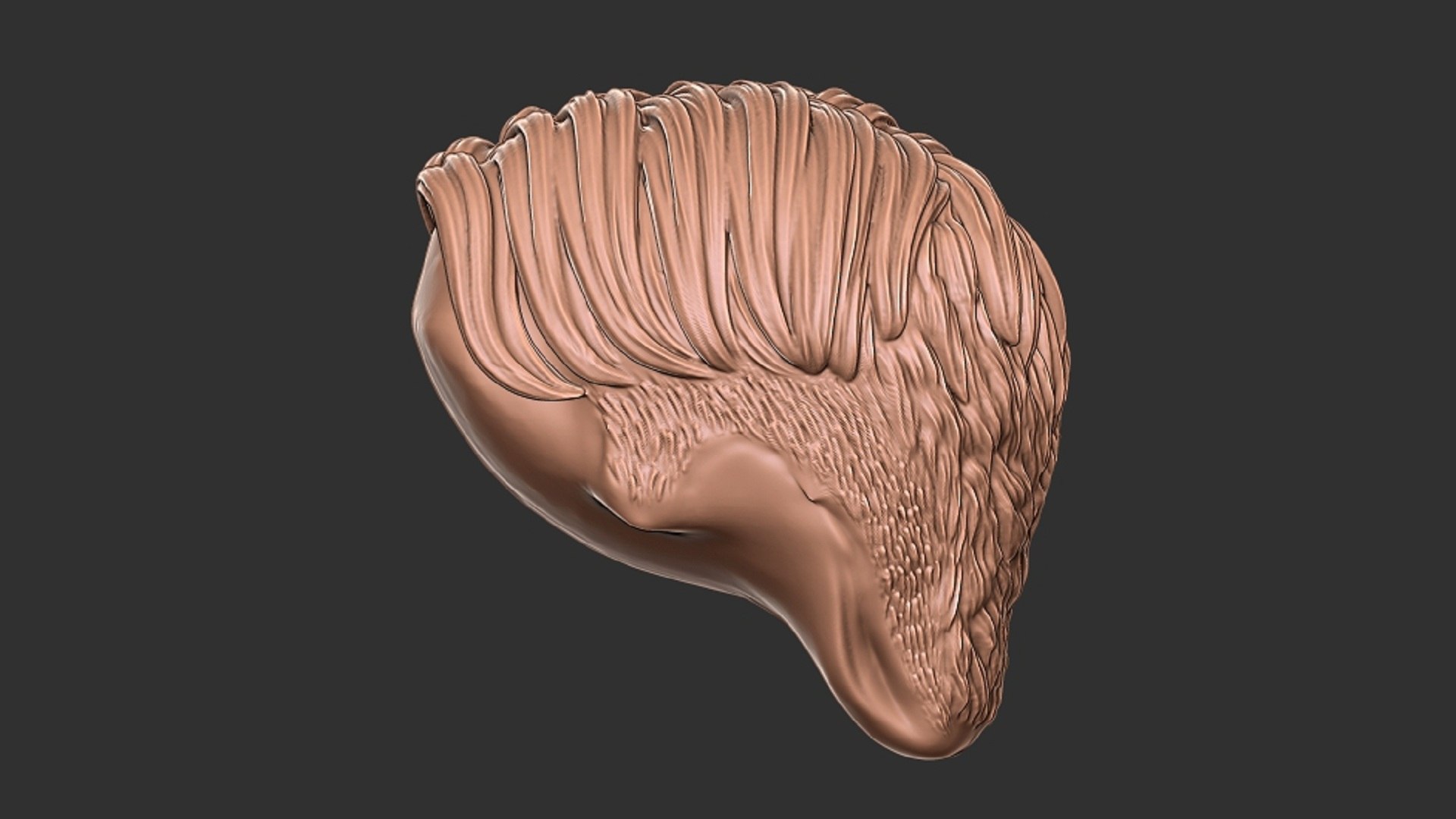 Hair 52 3D Model - TurboSquid 2020028