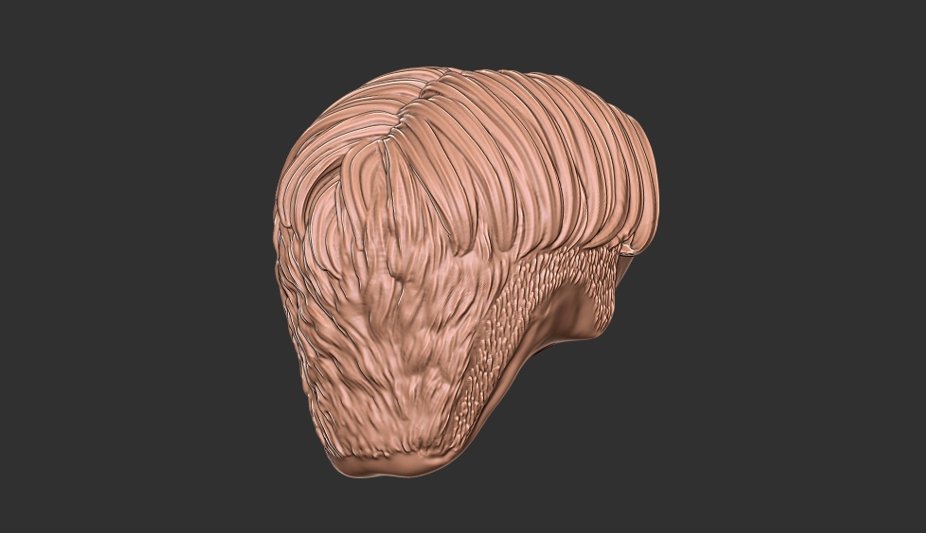Hair 52 3D Model - TurboSquid 2020028