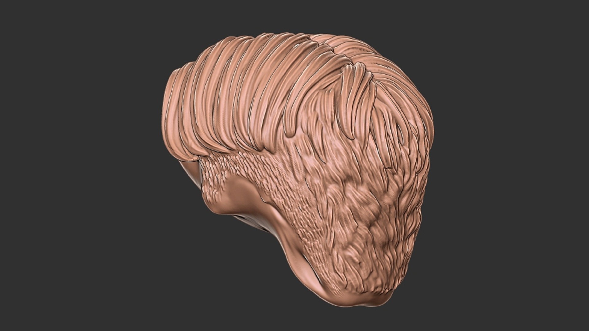 Hair 52 3D Model - TurboSquid 2020028