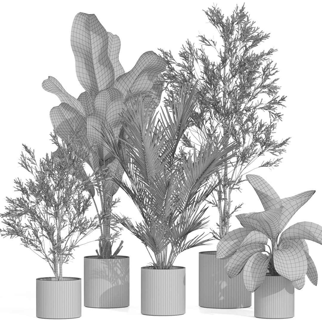3D Plants Collection 989 Model - TurboSquid 2127799