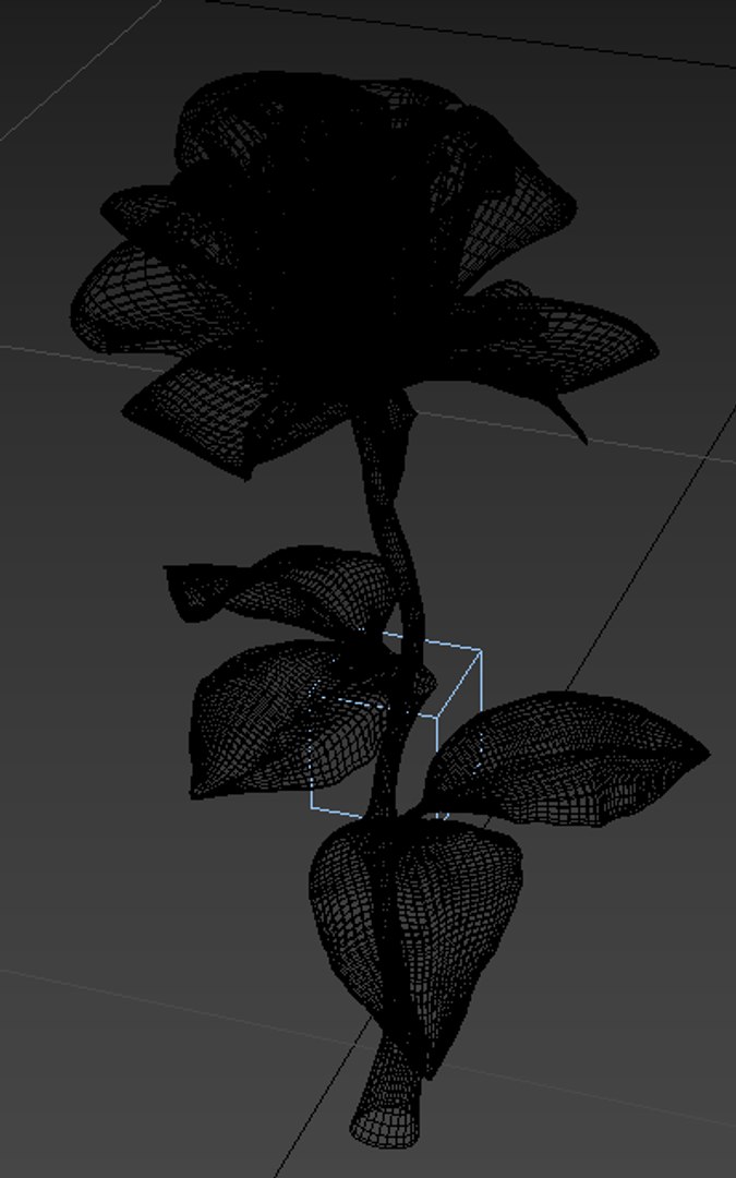 3D Rose Model - TurboSquid 2007316