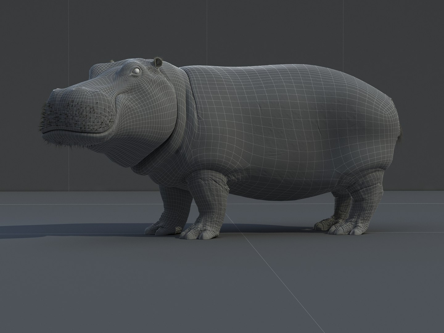 3d model of realistic animation hippo