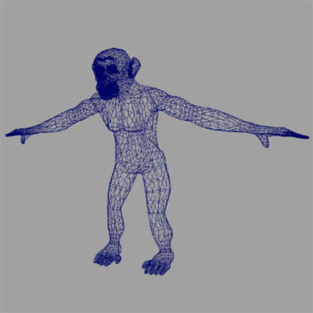 Monkey Chimpanzee 3d Model