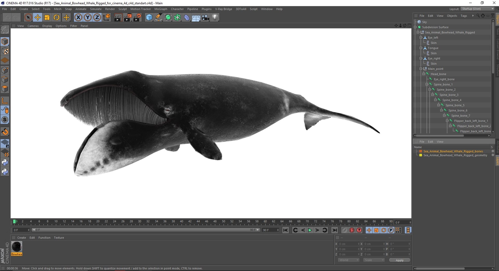 Sea Animal Bowhead Whale Rigged For Cinema 4D 3D - TurboSquid 2131855