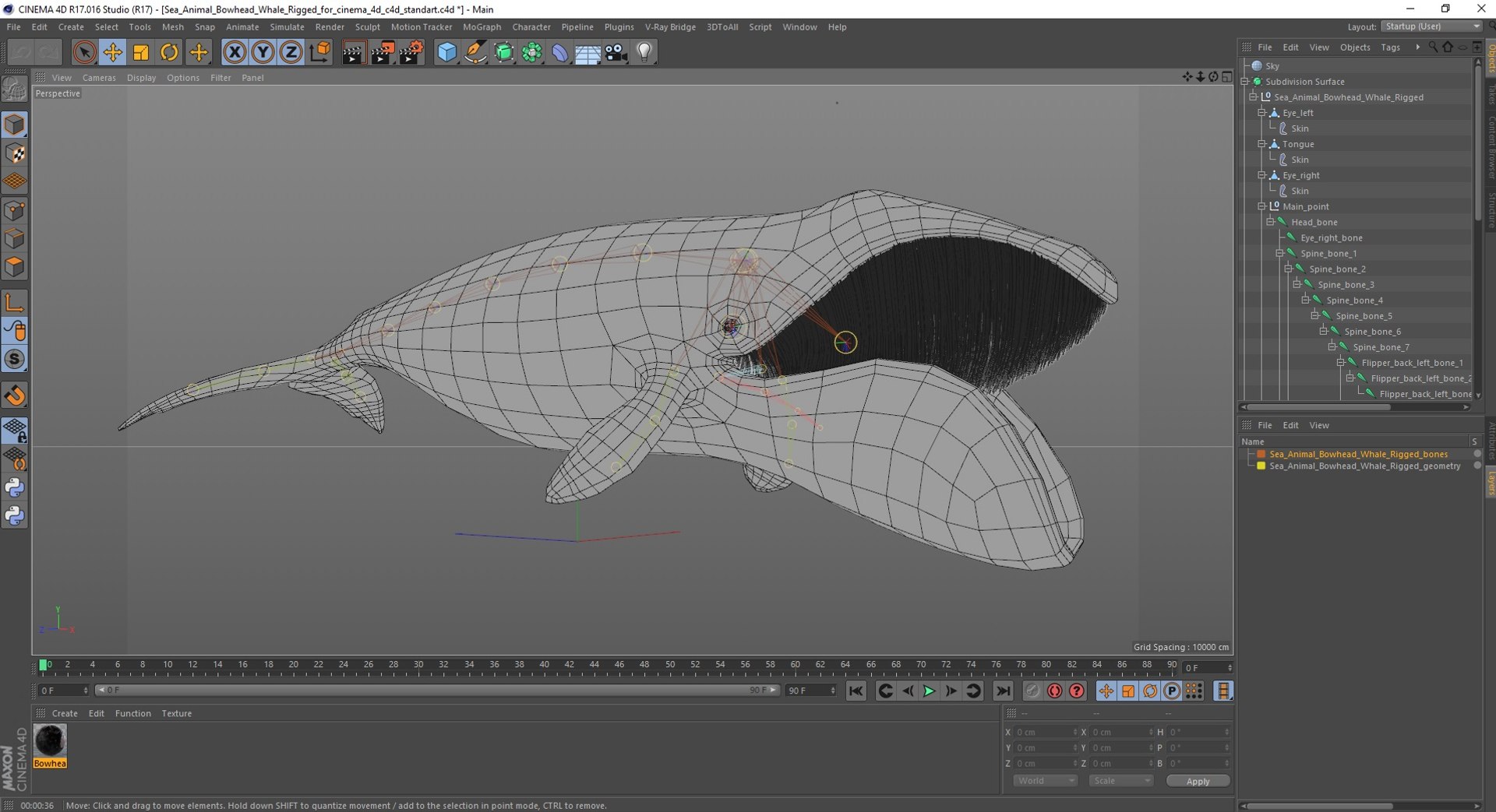 Sea Animal Bowhead Whale Rigged For Cinema 4D 3D - TurboSquid 2131855