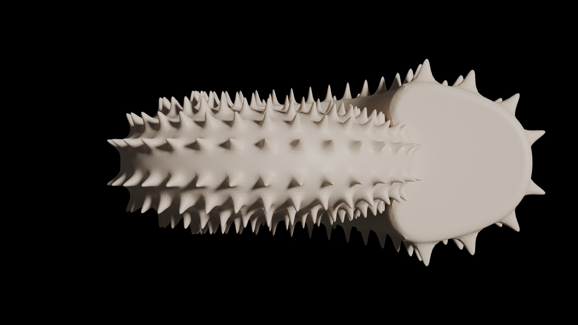 3D Subevolute Ammonoid Shell With Spines - TurboSquid 2289757