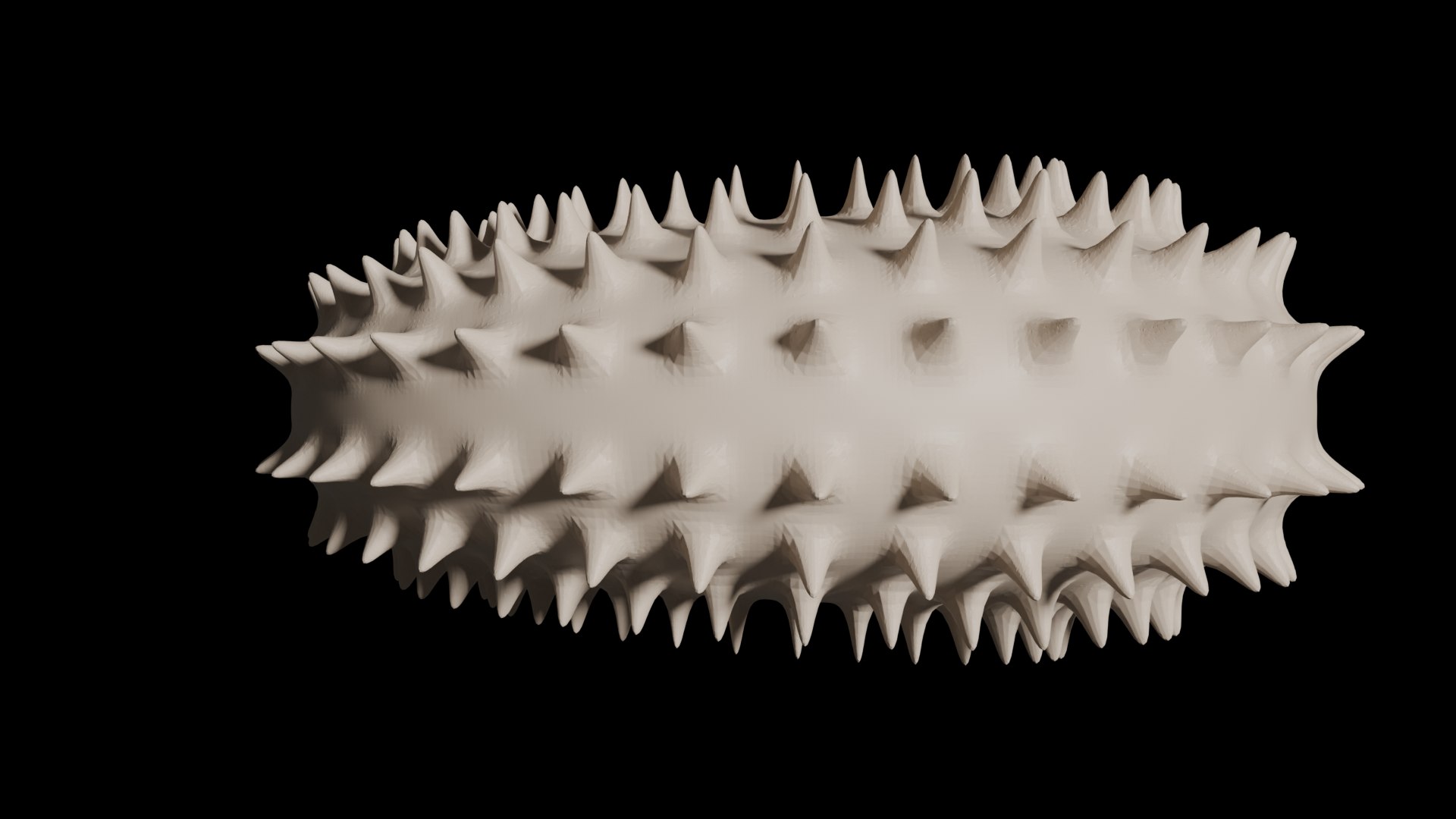 3D Subevolute Ammonoid Shell With Spines - TurboSquid 2289757