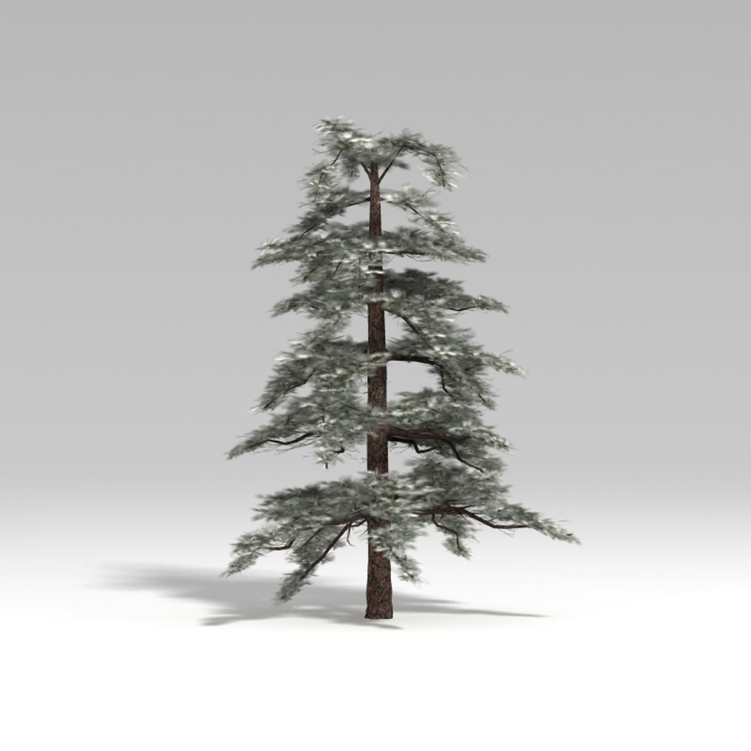Snowtree Tree Snow 3d Model