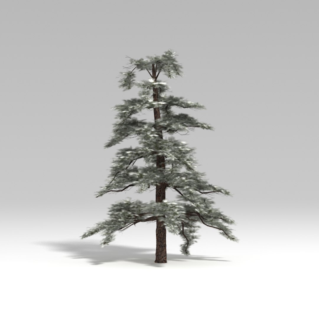 Snowtree Tree Snow 3d Model