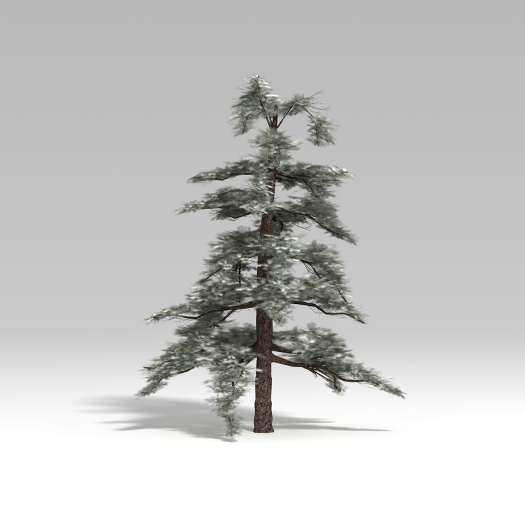 Snowtree Tree Snow 3d Model