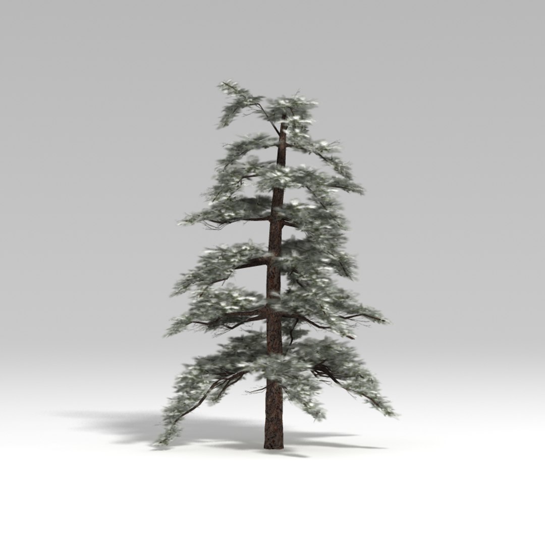 Snowtree Tree Snow 3d Model