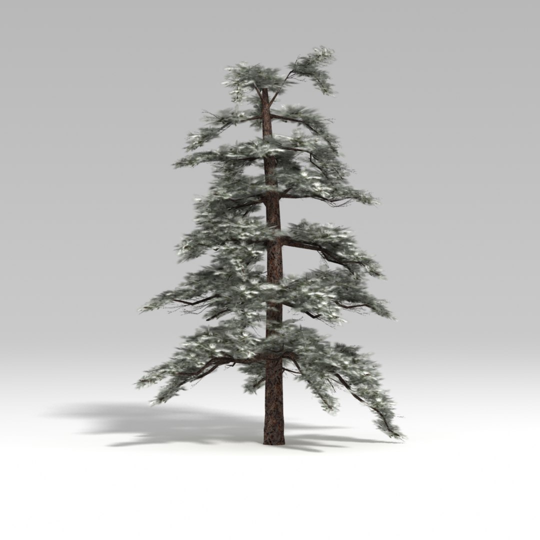Snowtree Tree Snow 3d Model