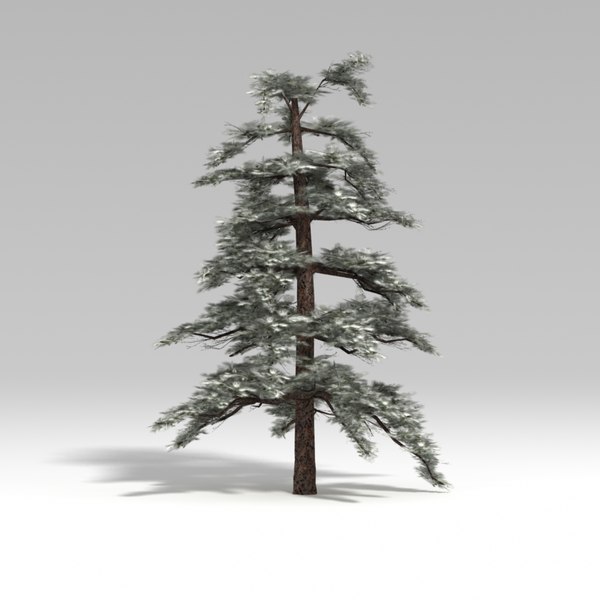 3d model snowtree tree snow