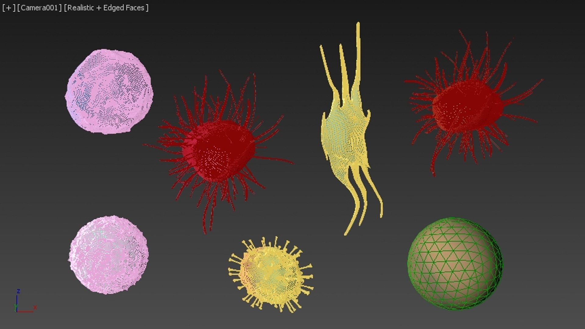 3D Cells Virus Bacteria Model - TurboSquid 1416117