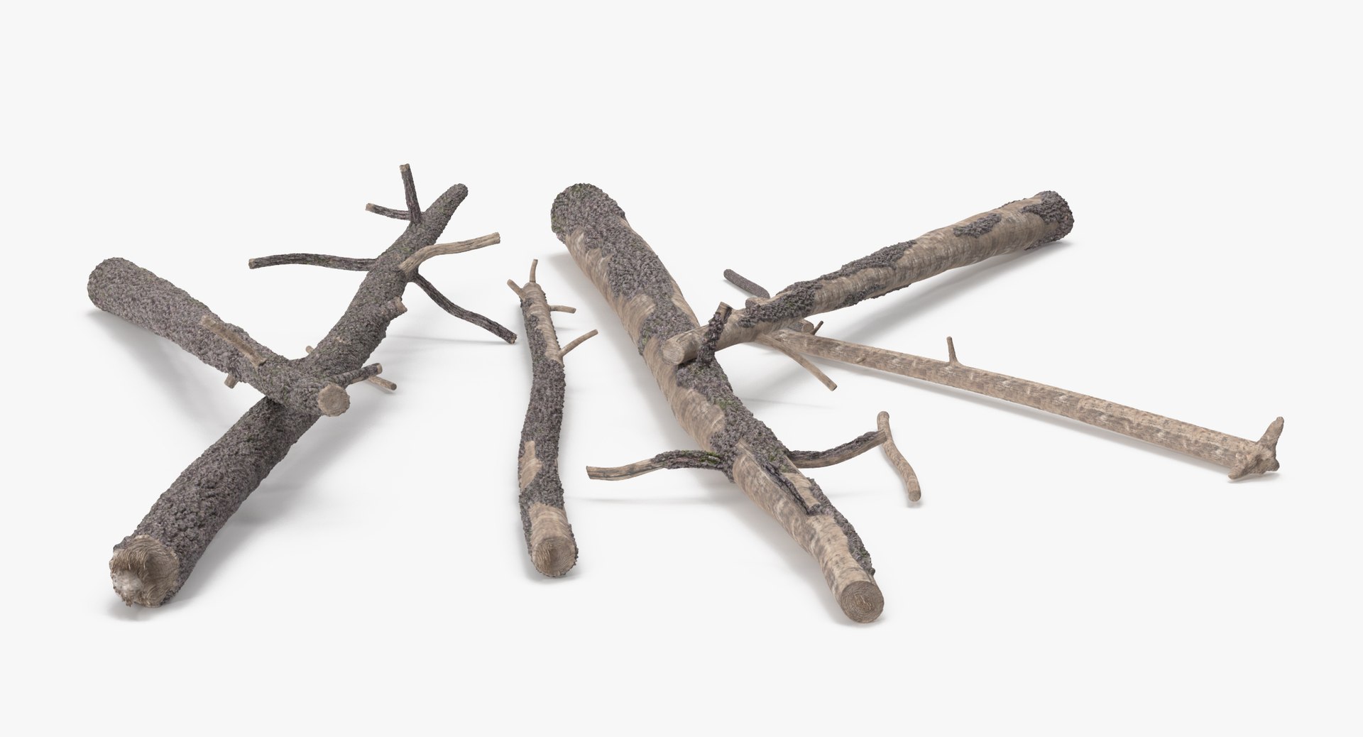 3d Fallen Logs Pine 02 Model