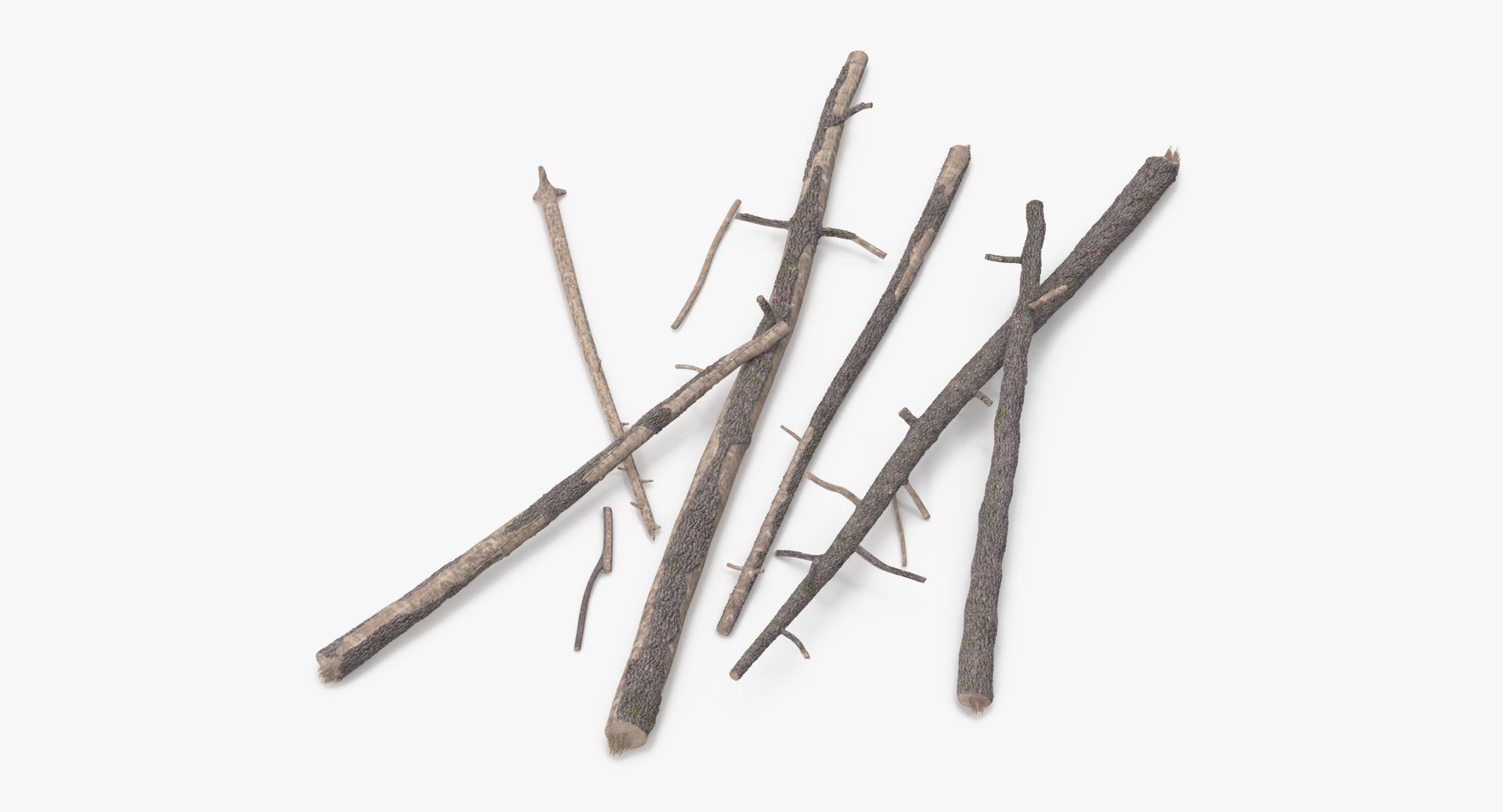 3d Fallen Logs Pine 02 Model