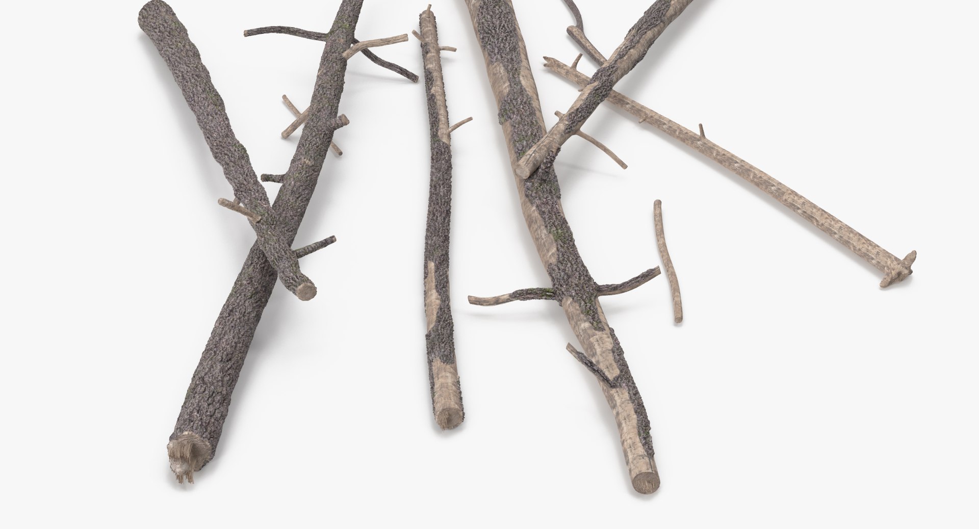 3d Fallen Logs Pine 02 Model