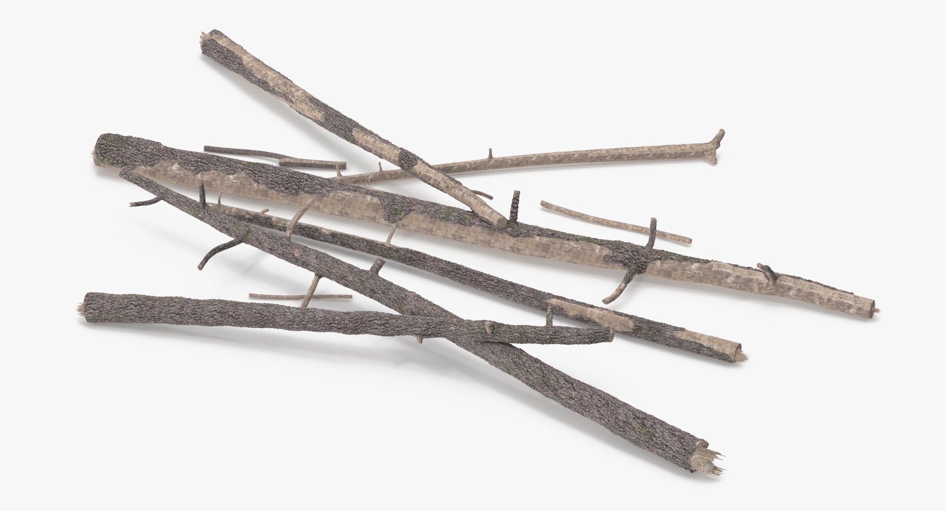 3d Fallen Logs Pine 02 Model