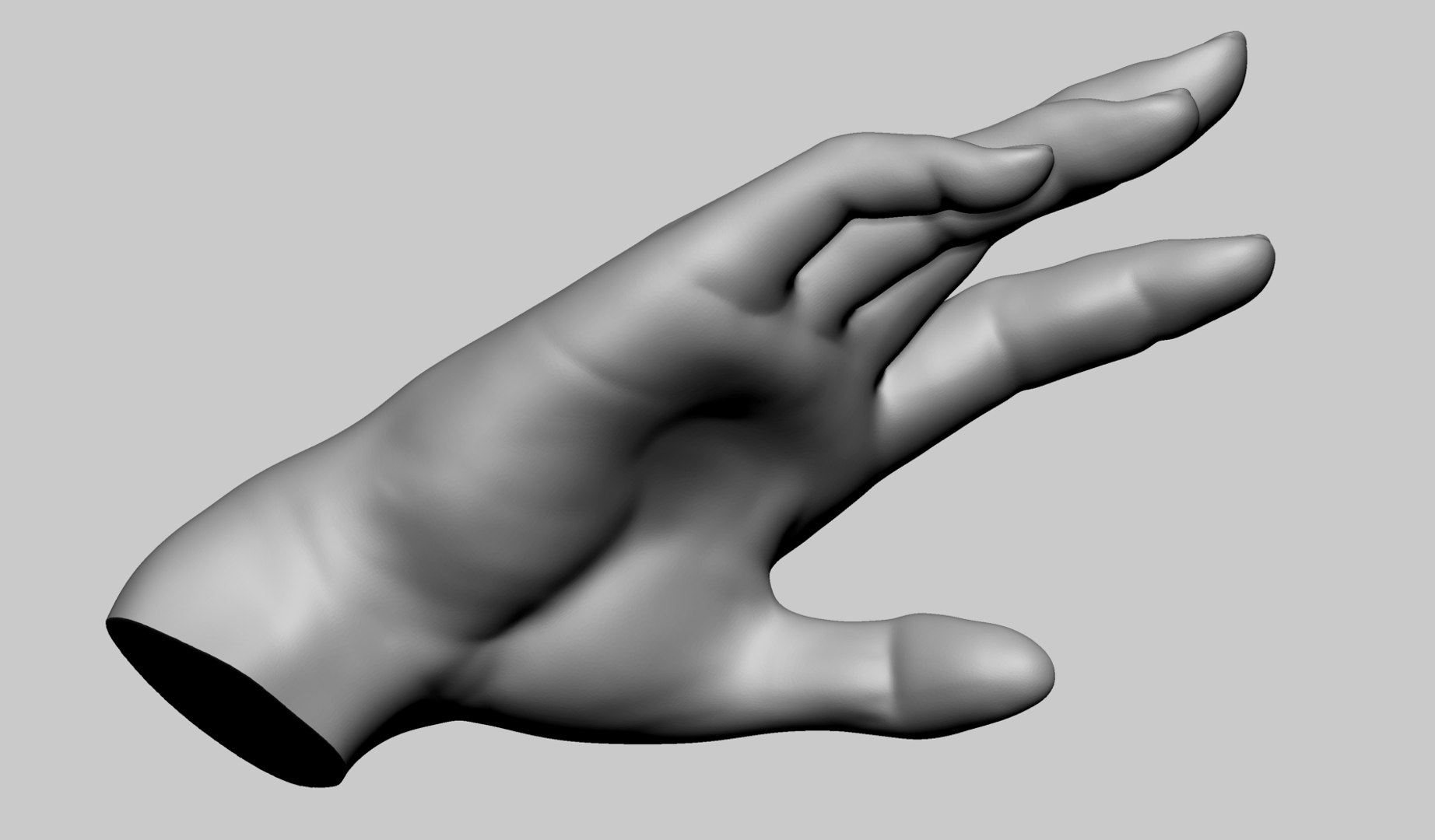 3D Female Hand Anatomy Model - TurboSquid 1575666
