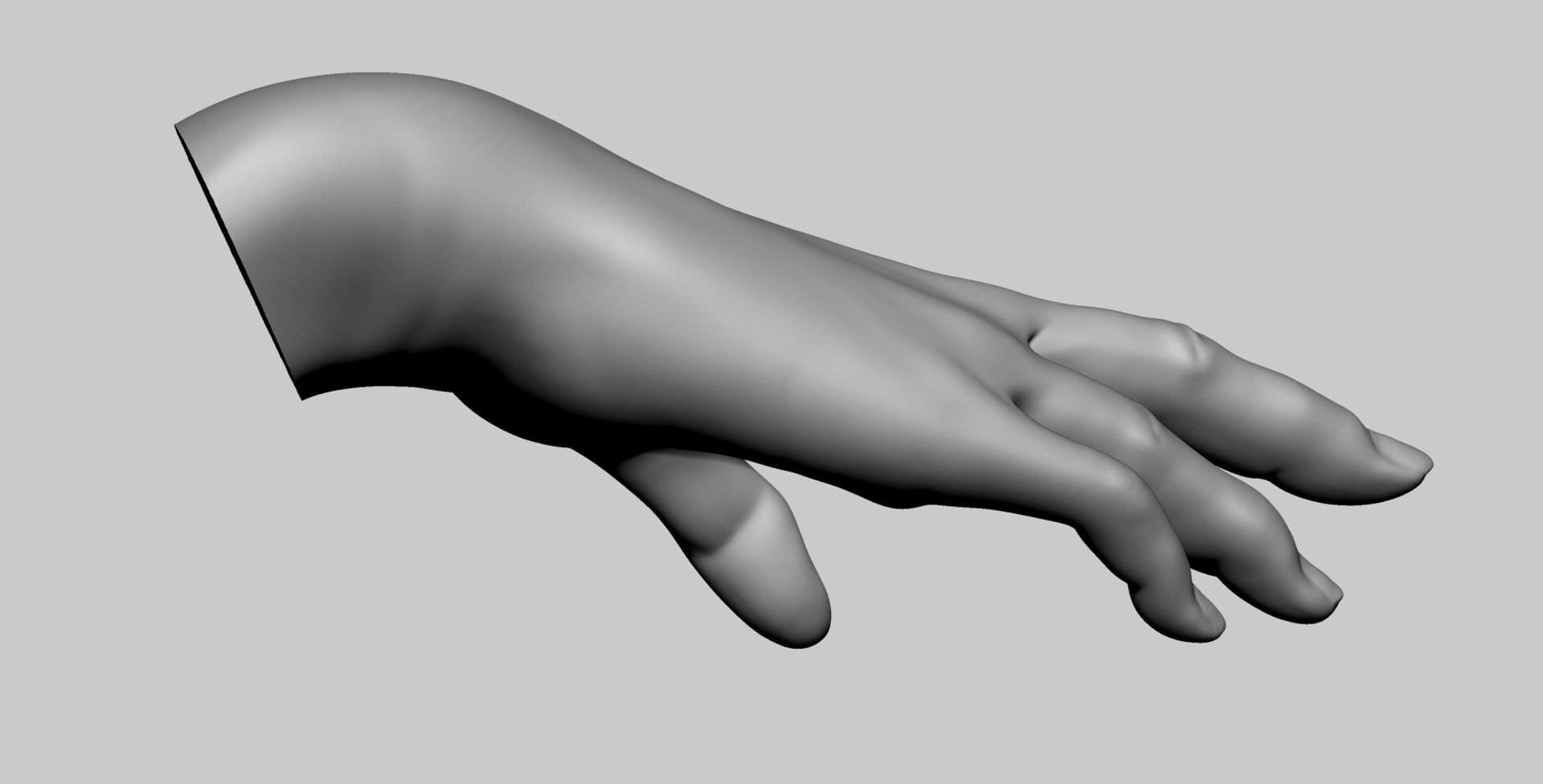 Female Hand Reference For 3d