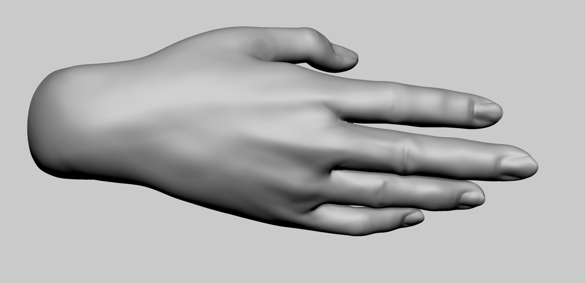 3D Female Hand Anatomy Model - TurboSquid 1575666