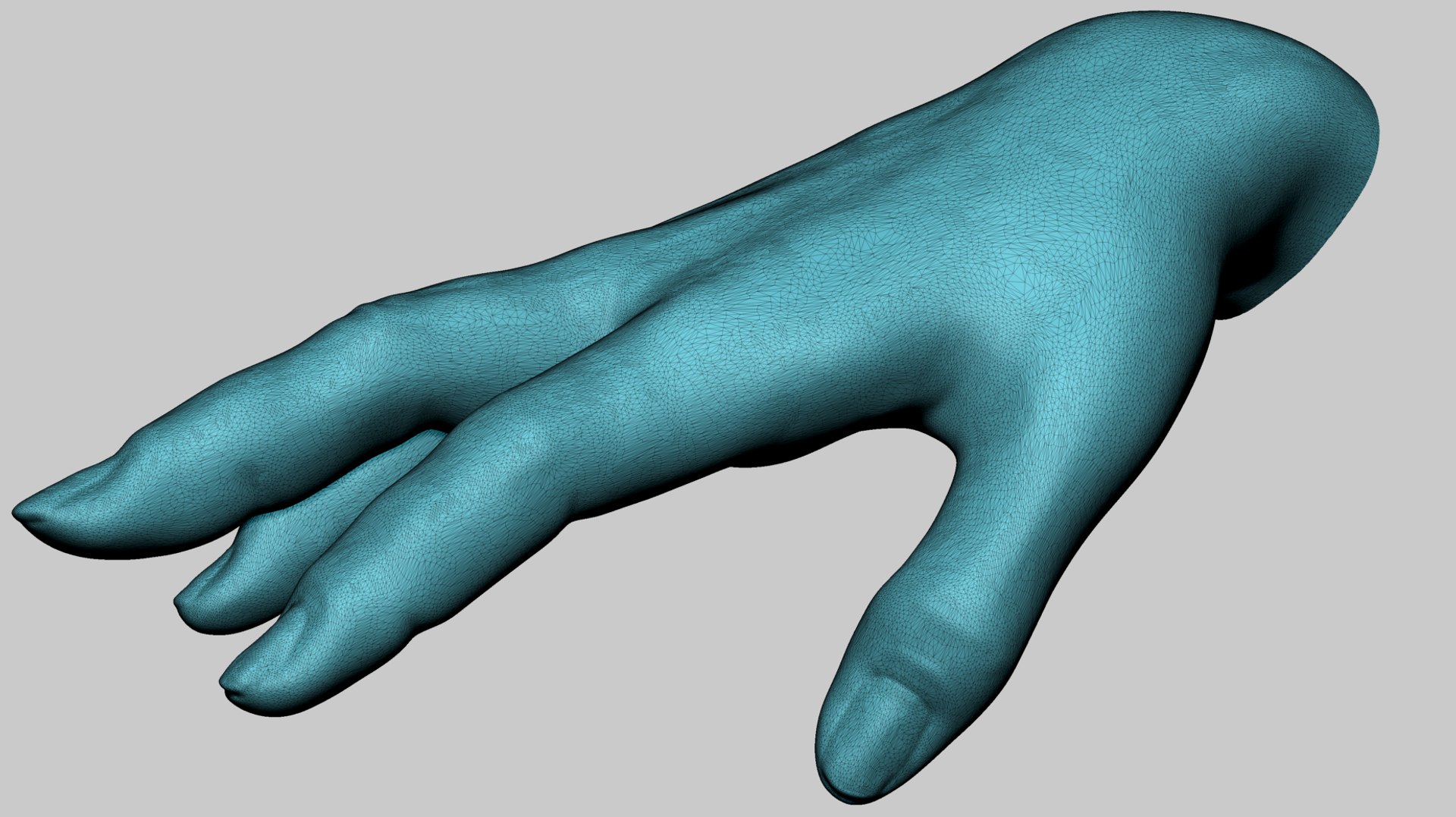 3D Female Hand Anatomy Model - TurboSquid 1575666