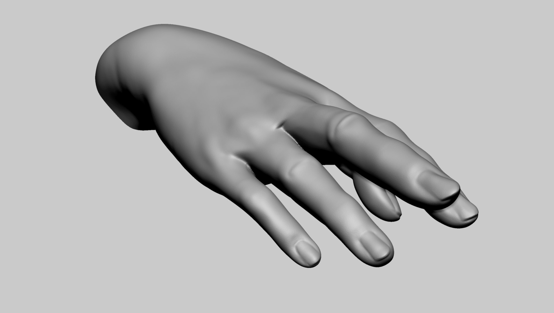 3D Female Hand Anatomy Model - TurboSquid 1575666