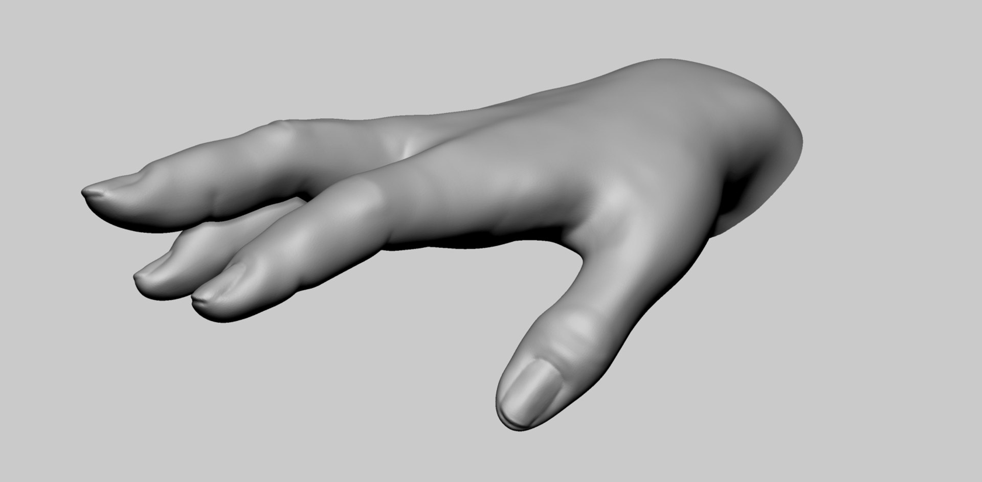 3D Female Hand Anatomy Model - TurboSquid 1575666