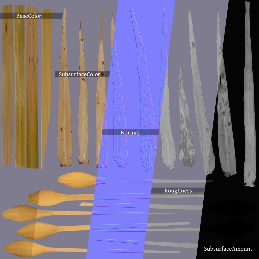 3D Wheat Model - TurboSquid 1634289