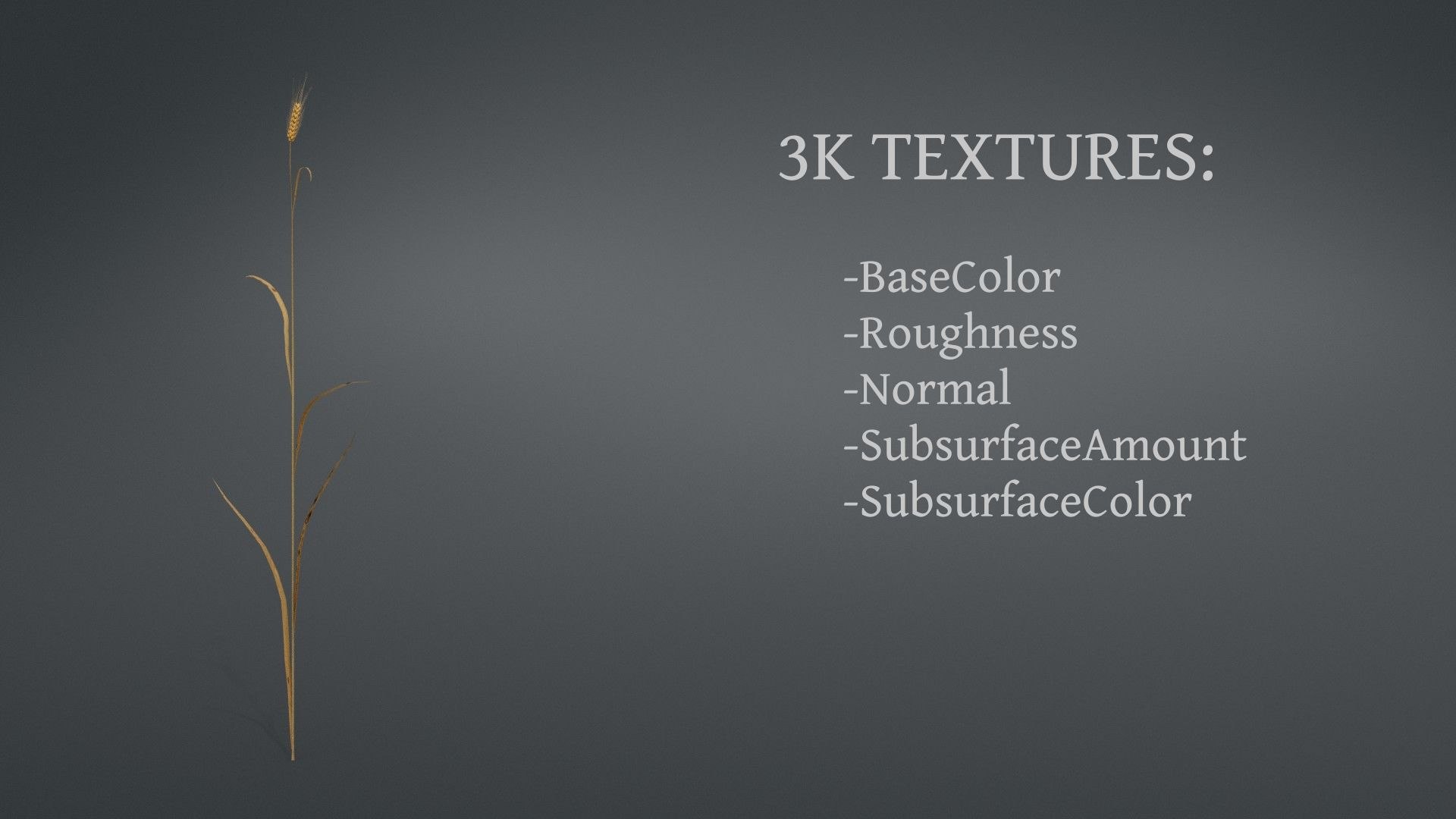 3D Wheat Model - TurboSquid 1634289