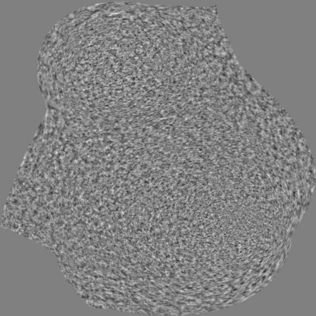 3d muscle fiber model