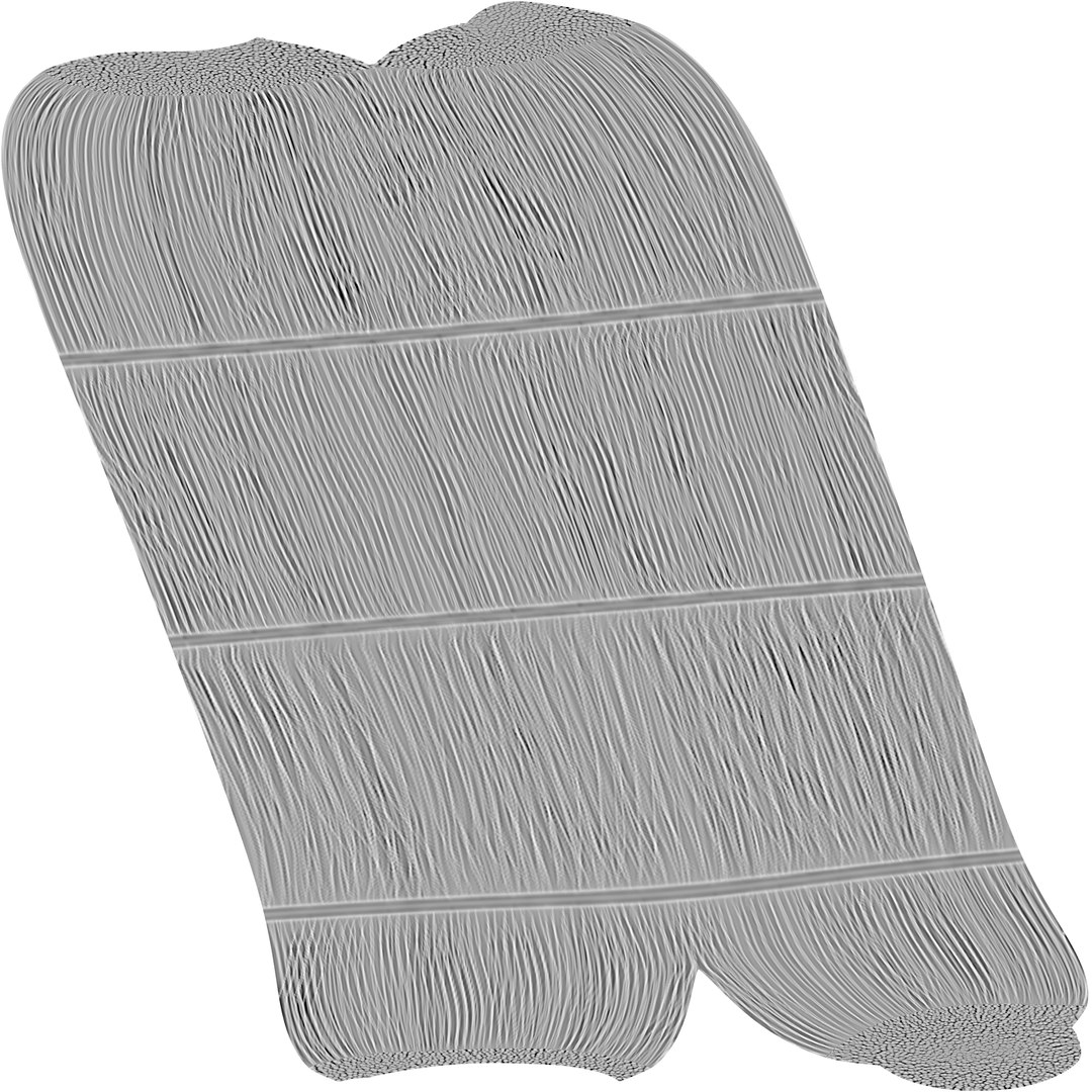 3d muscle fiber model