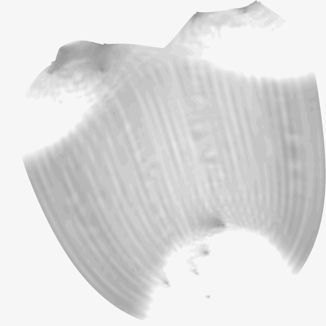 3d muscle fiber model