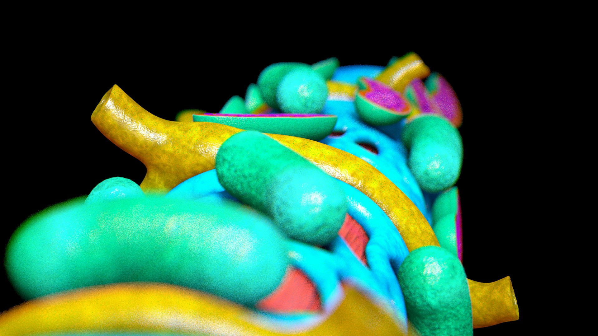 3d Muscle Fiber Model