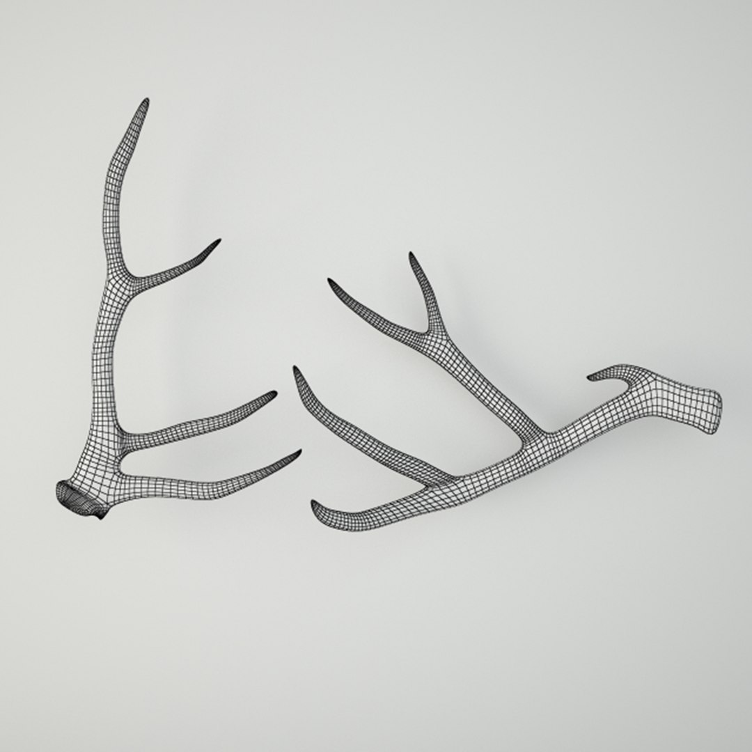 Deer Antlers 3D - TurboSquid 1203158