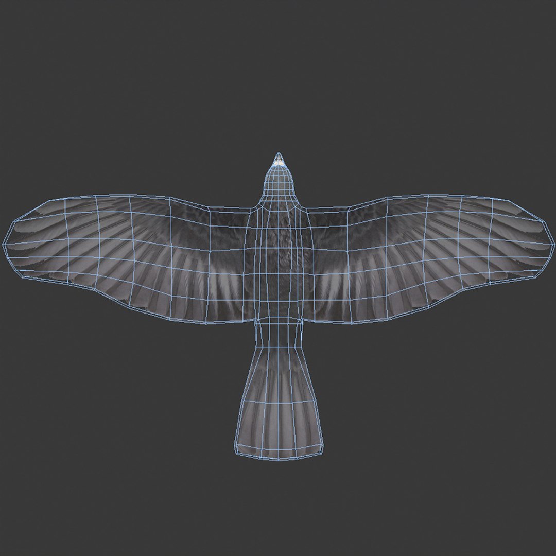 Bird Flock Animation 3d 3ds