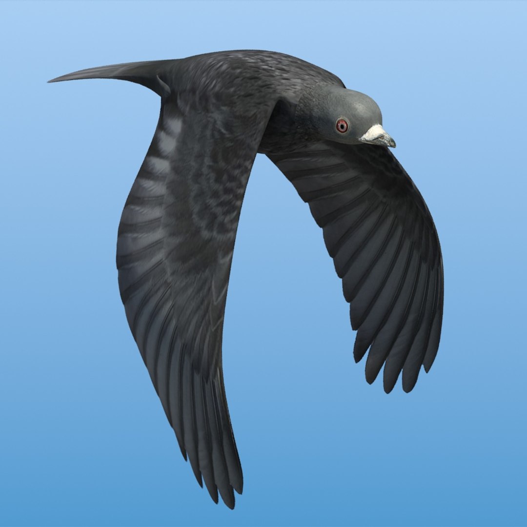 Bird Flock Animation 3d 3ds