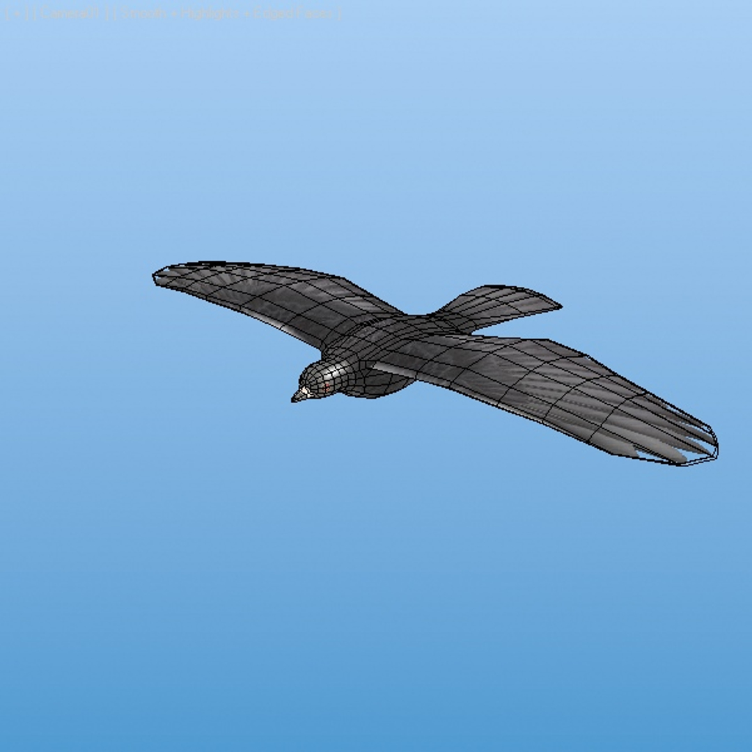 Bird Flock Animation 3d 3ds