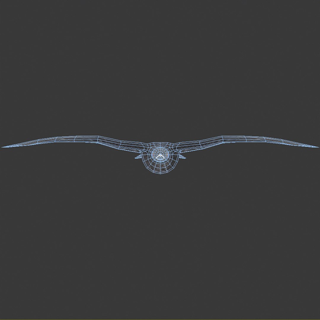 Bird Flock Animation 3d 3ds