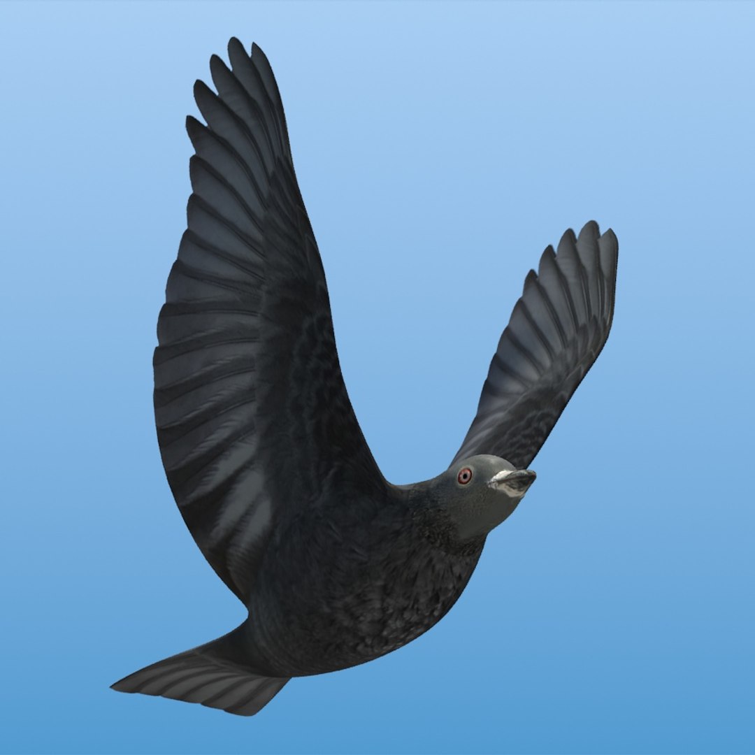 Bird Flock Animation 3d 3ds