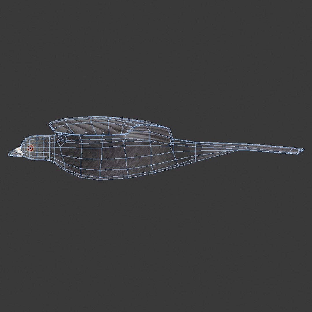 Bird Flock Animation 3d 3ds