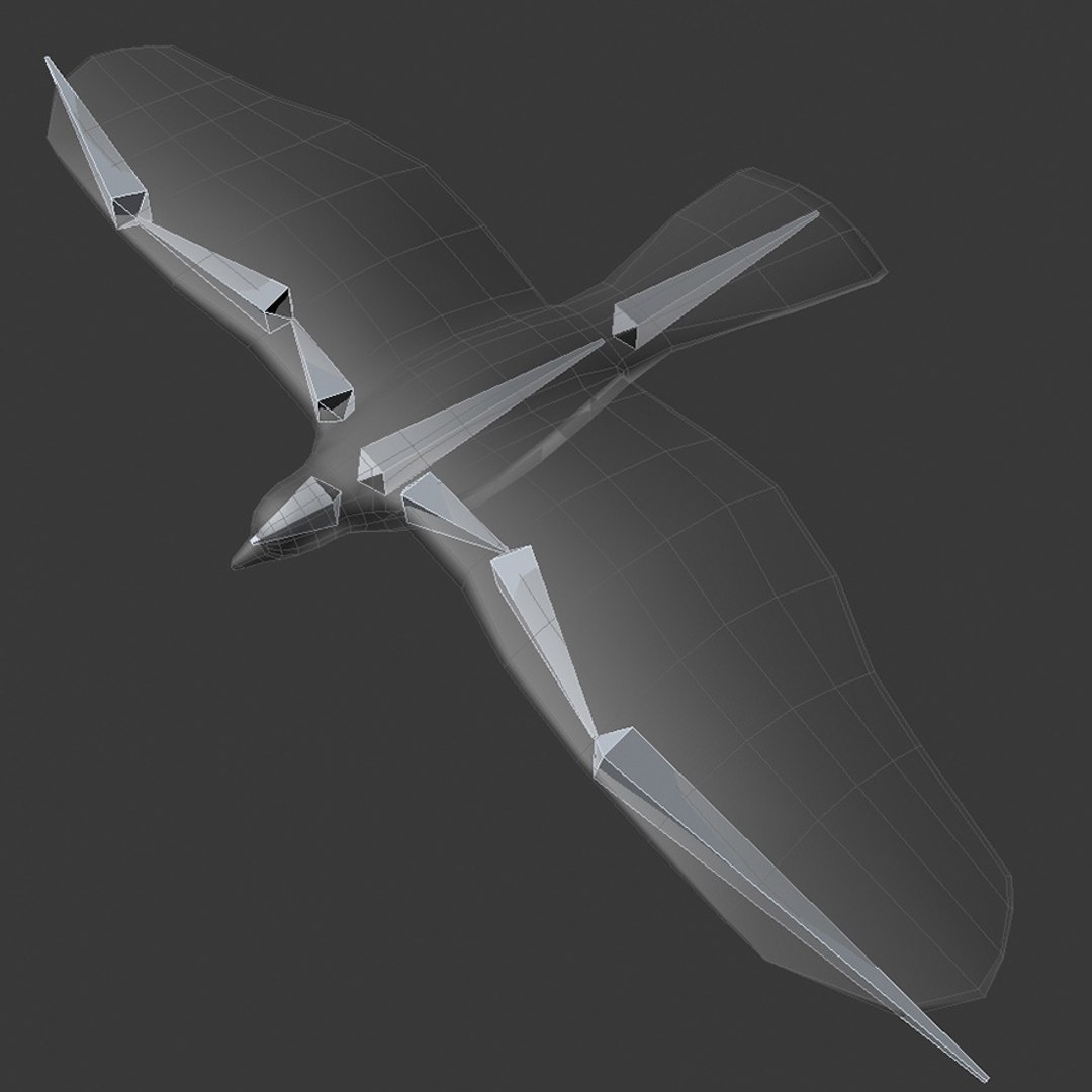 Bird Flock Animation 3d 3ds