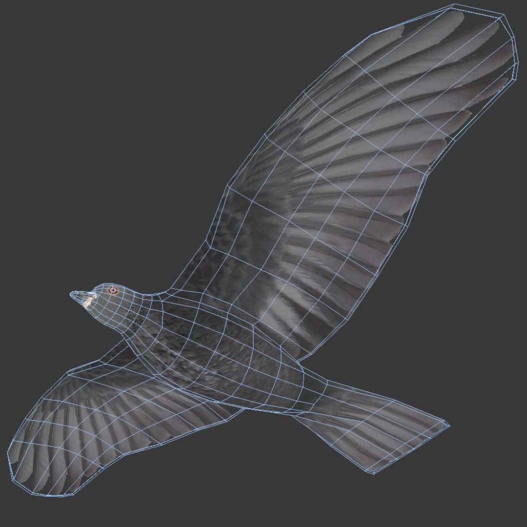 Bird Flock Animation 3d 3ds