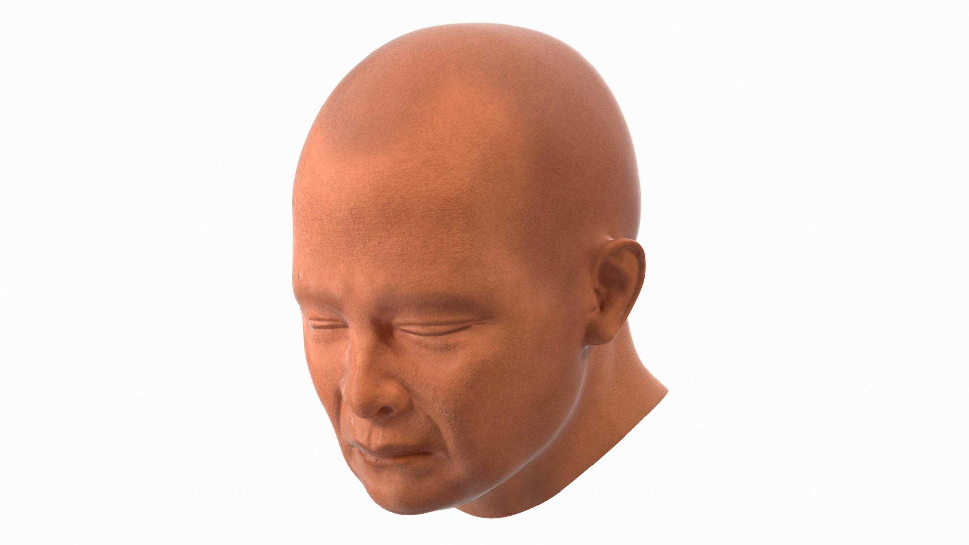 Monk Head Model - TurboSquid 2001413